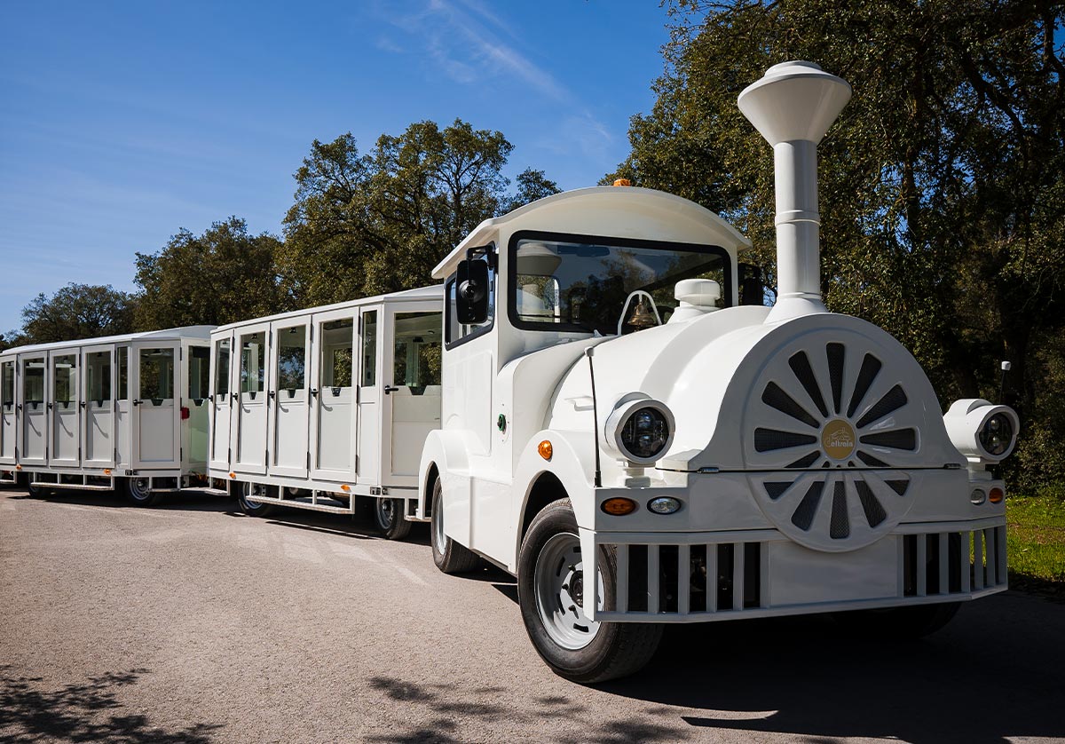 Deltrain Delga - Eco-Friendly Trains